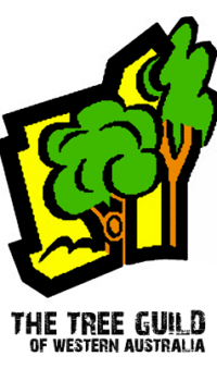 Tree Lopping Perth | Tree Pruning and Removal | Perth Arbor Services